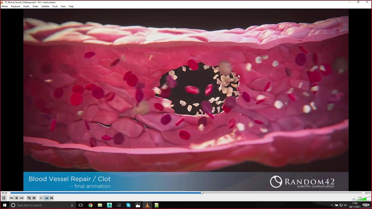 ArtStation - Callum Welsh, Scientific/Medical TP Visual Effects ...