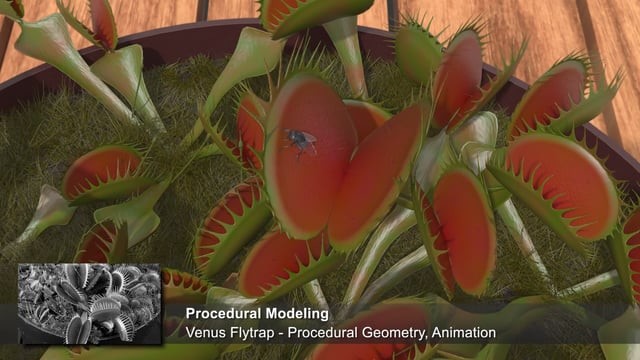 ArtStation - Procedural Geometry : Venus Flytrap