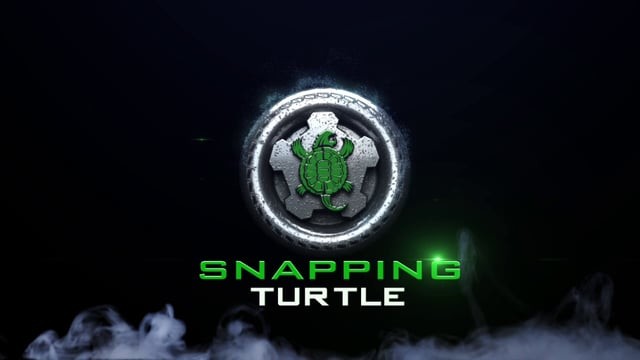 ArtStation - snapping turtle intro