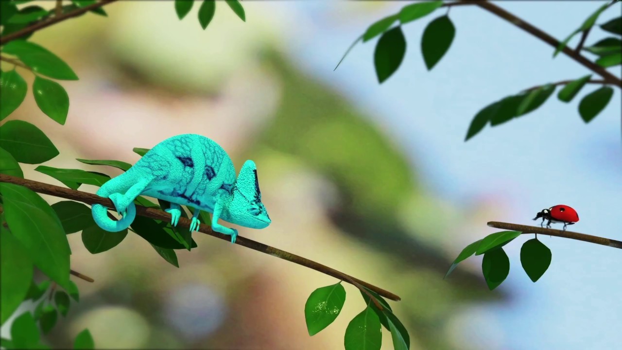 Chris York - SnackTime