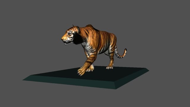 ArtStation - Tiger Walk Cycle