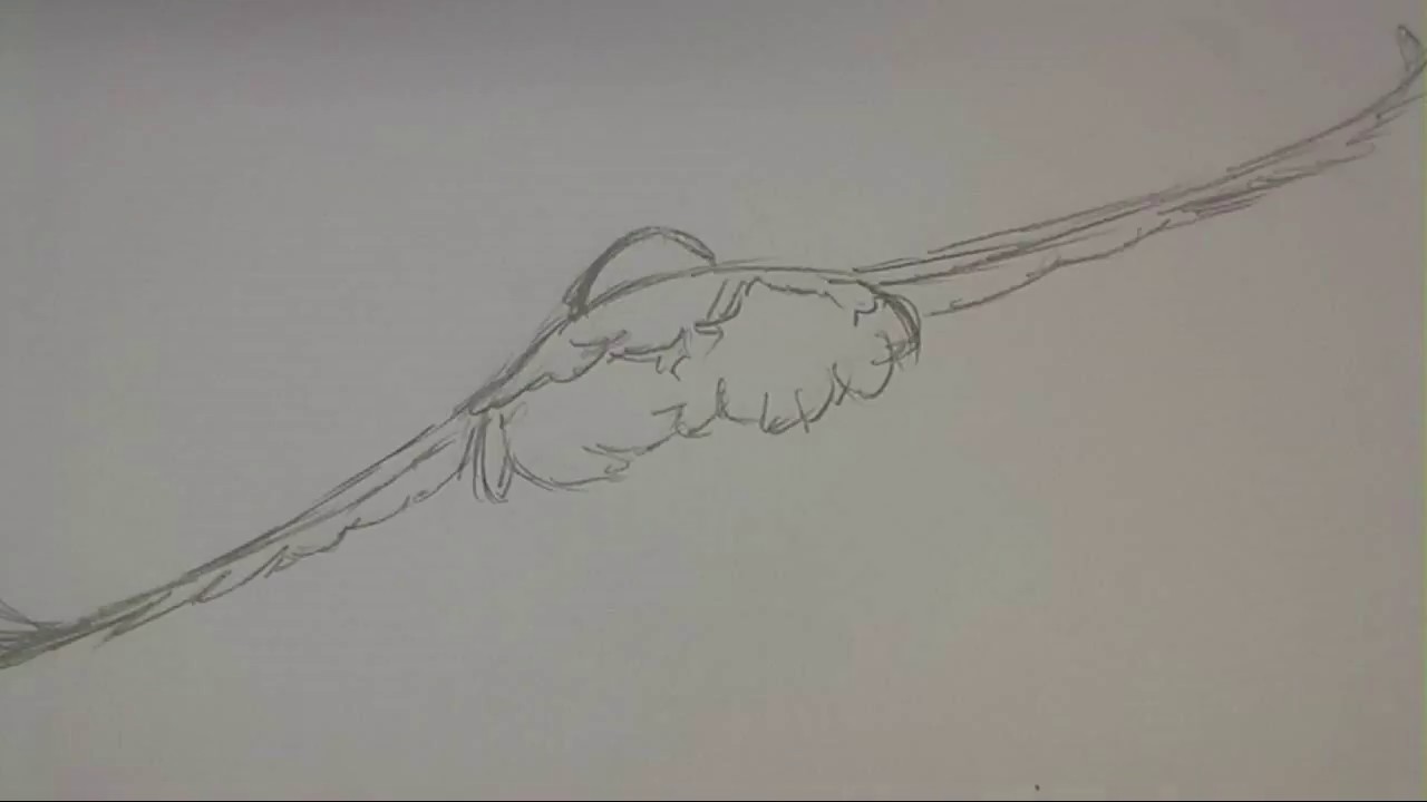 ArtStation - Morphing Animation