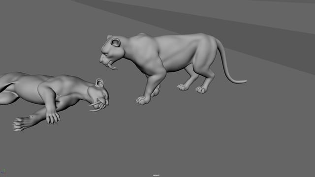 ArtStation - Tiger Animation