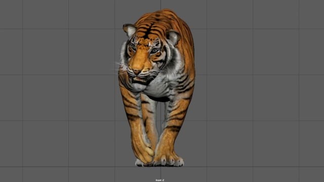ArtStation - Animation tiger (WIP)