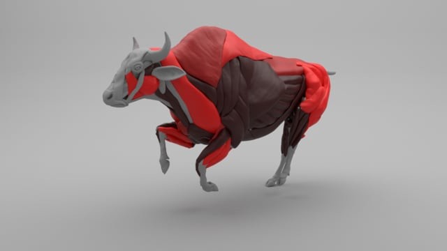 ArtStation - Bison - Muscle simulation