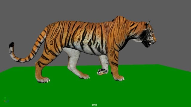 ArtStation - Tiger Walk Cycle