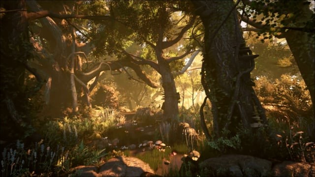 ArtStation - UE4 forest scene - lighting study