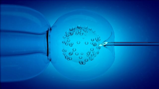 ArtStation - Cell Animation