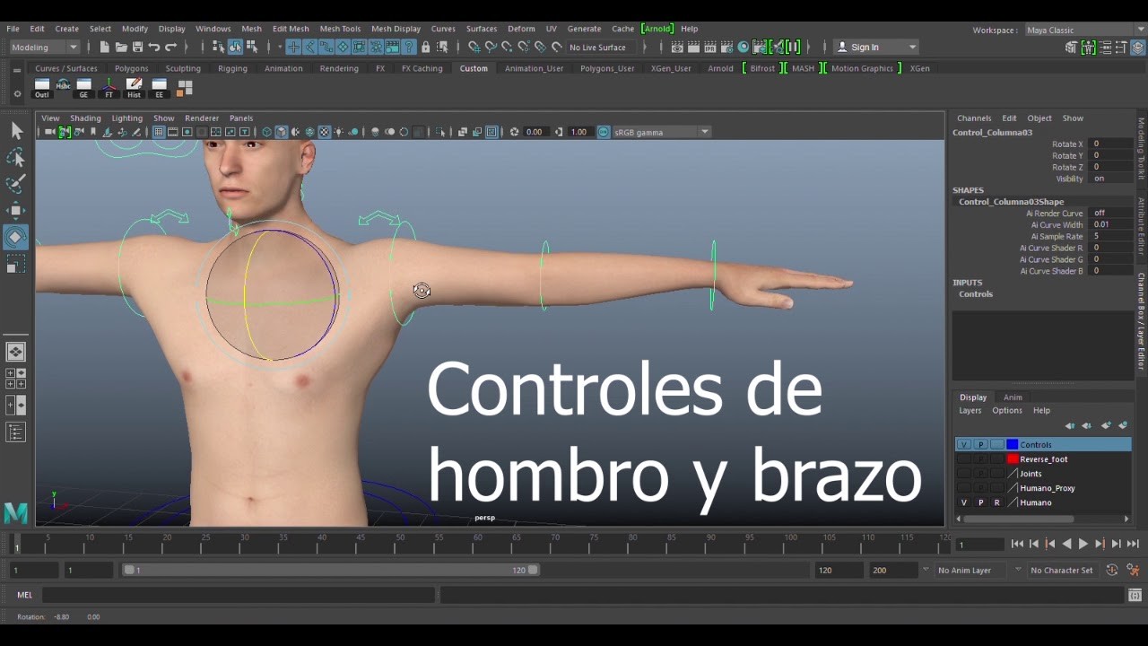 ArtStation - Human Rig
