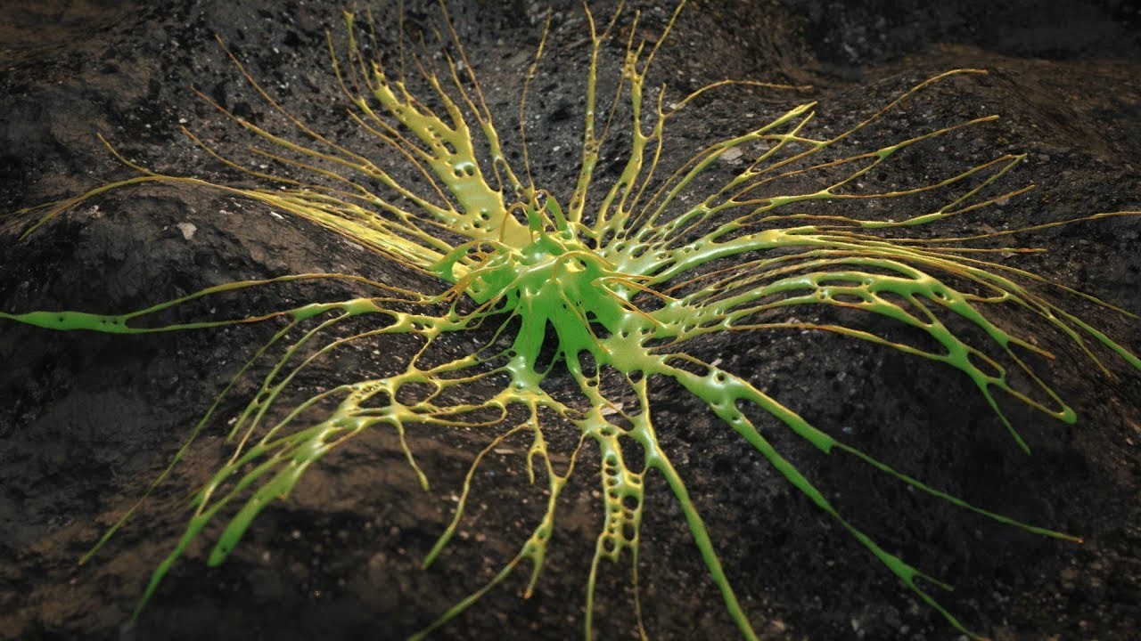 ArtStation - C4D X Particles Mesh - Cinema 4D Tutorial (Free Project)