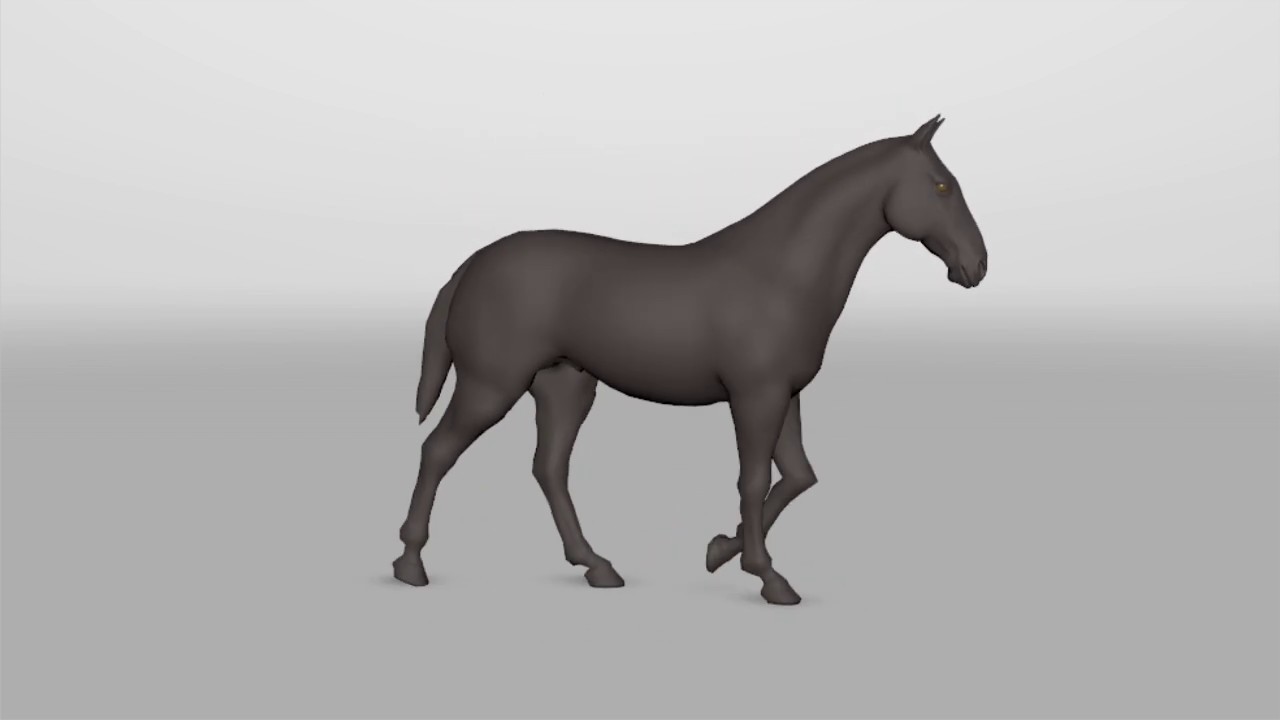 ArtStation - Horse walk cycle animation