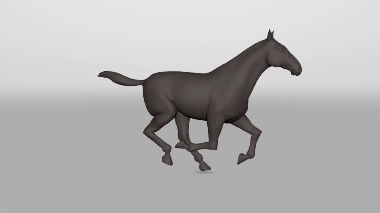 ArtStation - Horse gallop cycle animation, Michał Wojciechowski