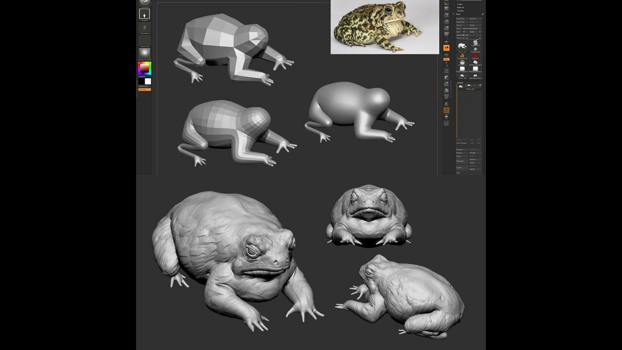 ArtStation - Toad