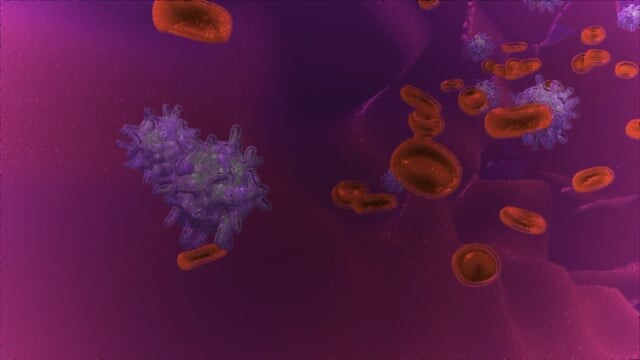 ArtStation - Medical Animation Demo