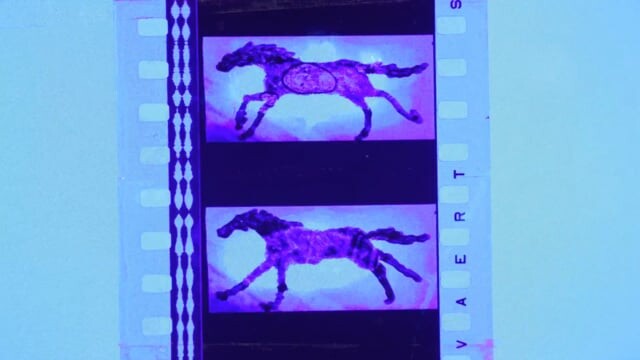 Joshua Boyd - 'One Trick Pony' Week Three Experimental Animation