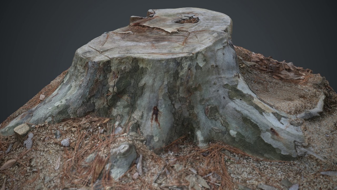 ArtStation - Photo Geometry_Truncated tree 3