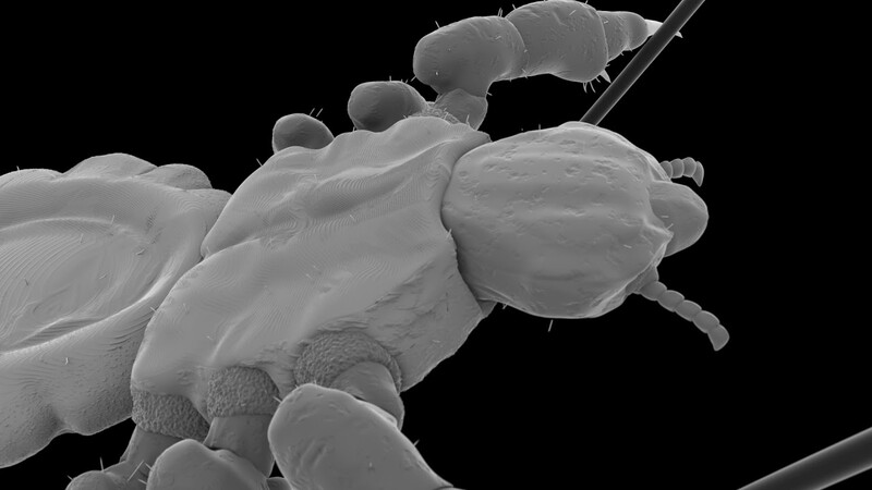 ArtStation - Mason Brahney