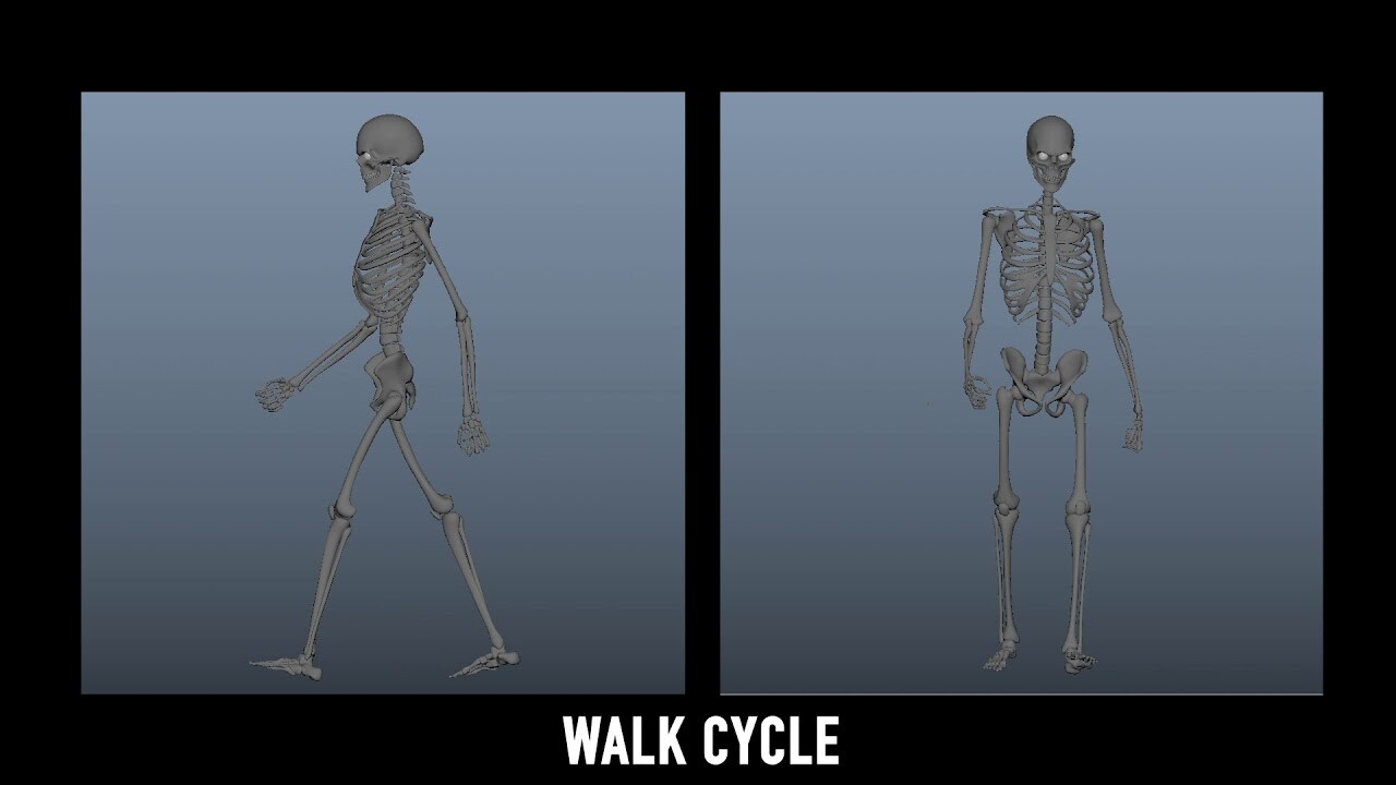 ArtStation - 3D Animation - Skeleton Animations