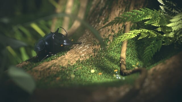 ArtStation - Onthophagus Proagoderus beetles
