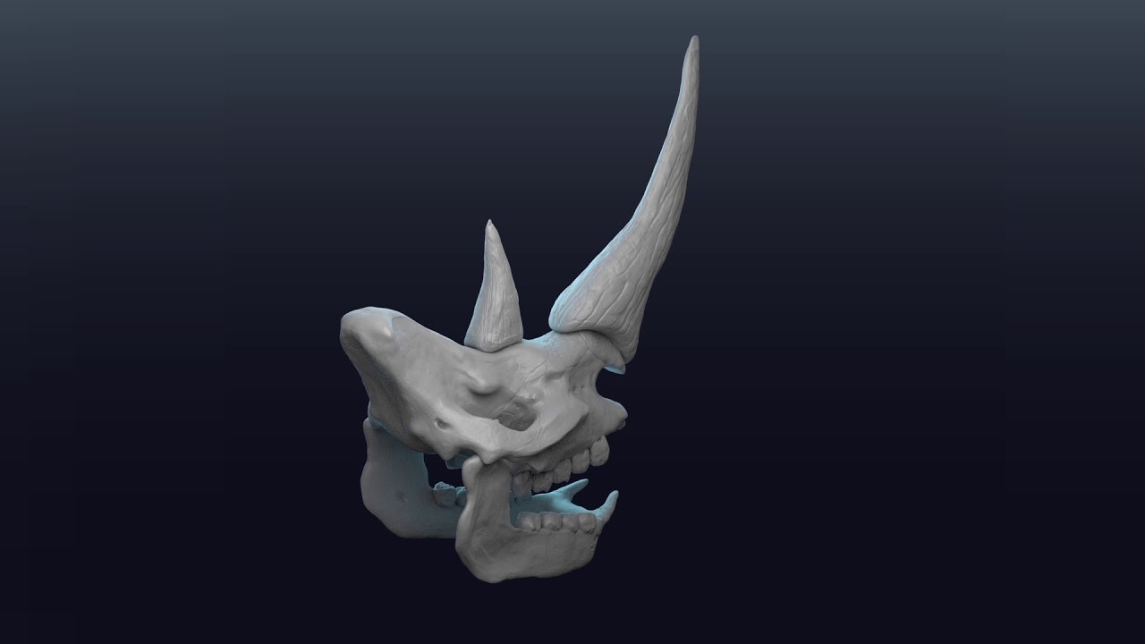 ArtStation - Rhinoceros skull