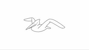 ArtStation - Cycle of Flight of Bird - 2D Animation Exercise