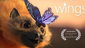 ArtStation - Wings - Animated Short Film