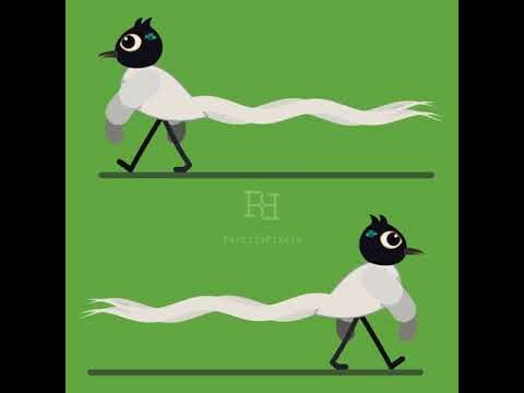 ArtStation - 2D Bird Walk Cycle