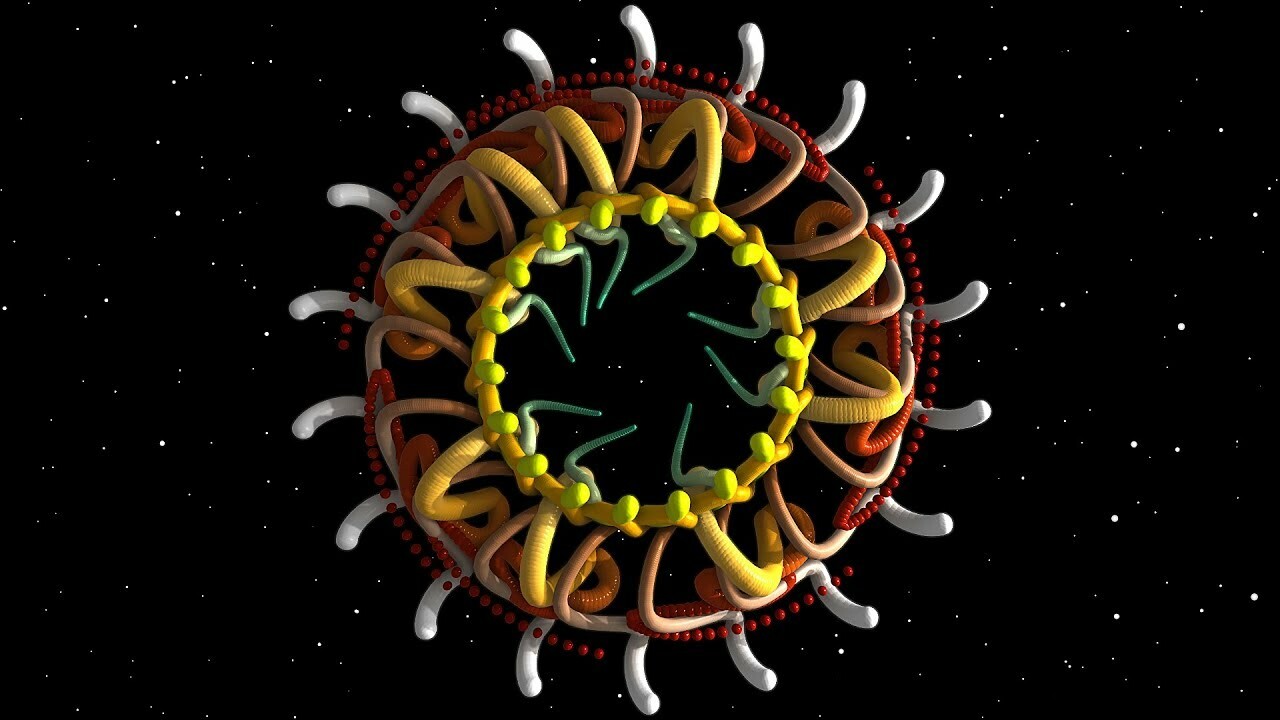 ArtStation - Mandala Mograph 082 | Animated Geometric Shapes | 3d ...