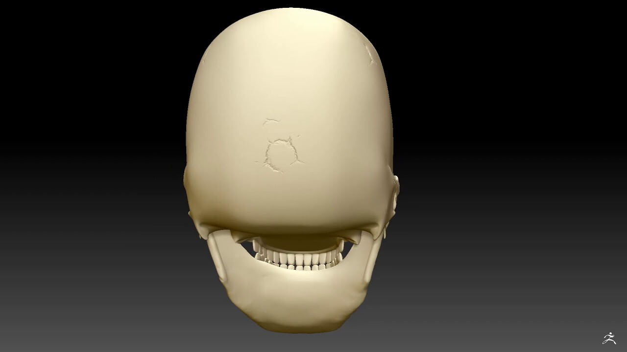ArtStation - 3D skull || Instant Graphics || 6714