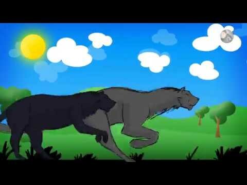 ArtStation - Runaway ~ ToonBoom Animation