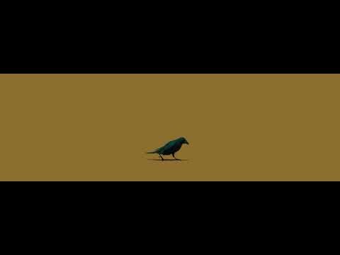 ArtStation - Raven Animation