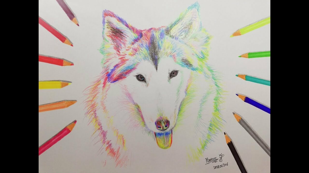 ArtStation - Rainbow Husky 彩虹二哈