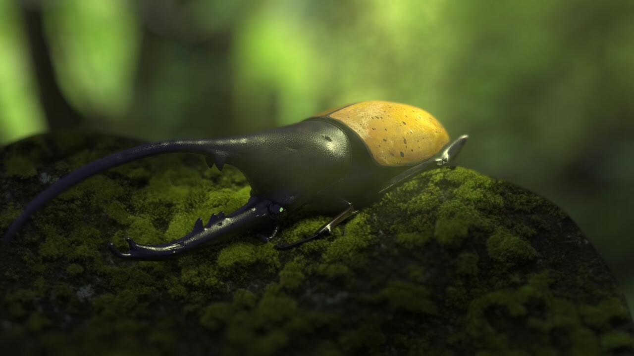 ArtStation - Insect Project (2018)