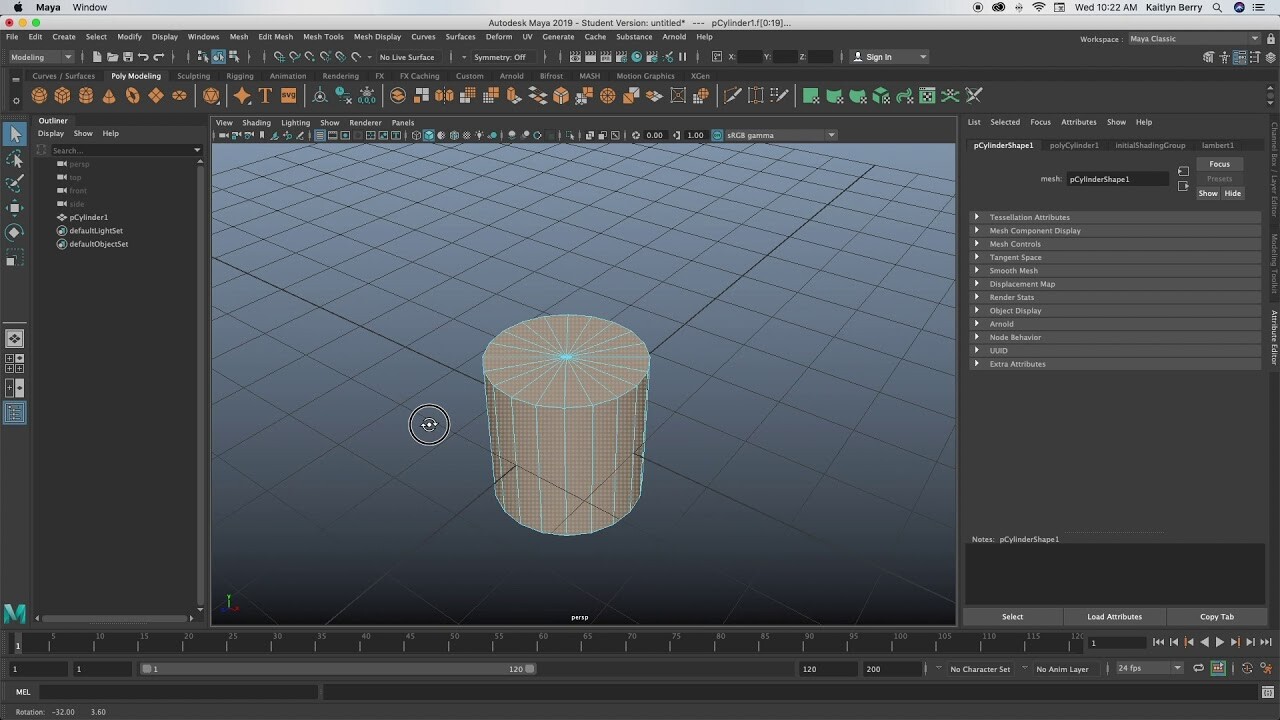 ArtStation - Basics of Maya
