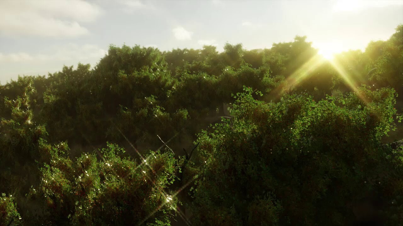 ArtStation - Realistic Forest Rendering Animation