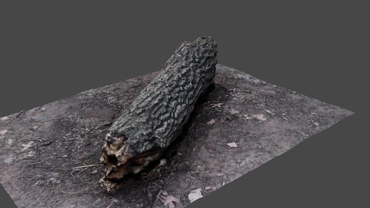 ArtStation - Photogrammetry Log Render