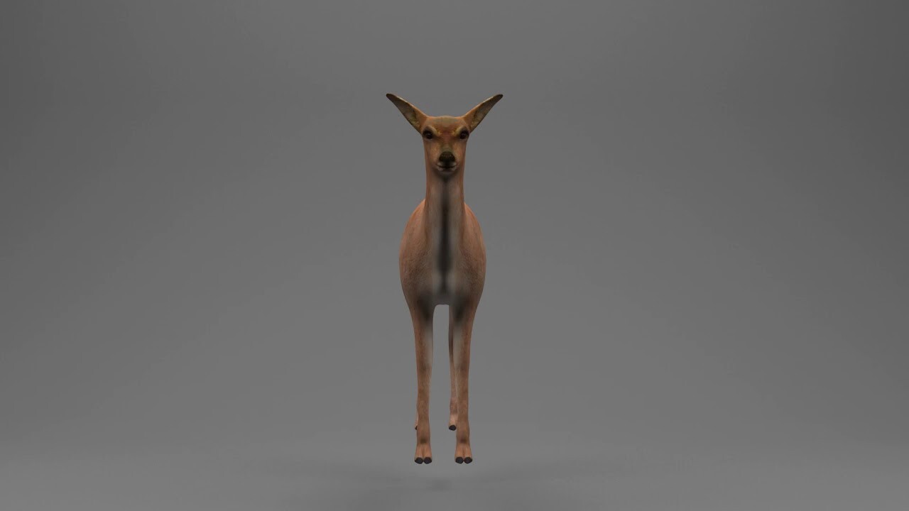ArtStation - Deer modal & texture
