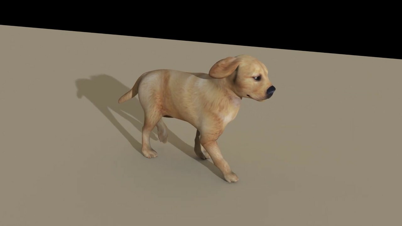 ArtStation - Animation Exercise - Quadruped Walk Cycle