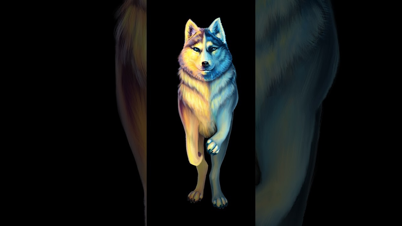 ArtStation - Husky Run Cycle