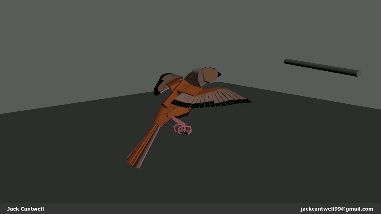 ArtStation - Bird Animation Showreel