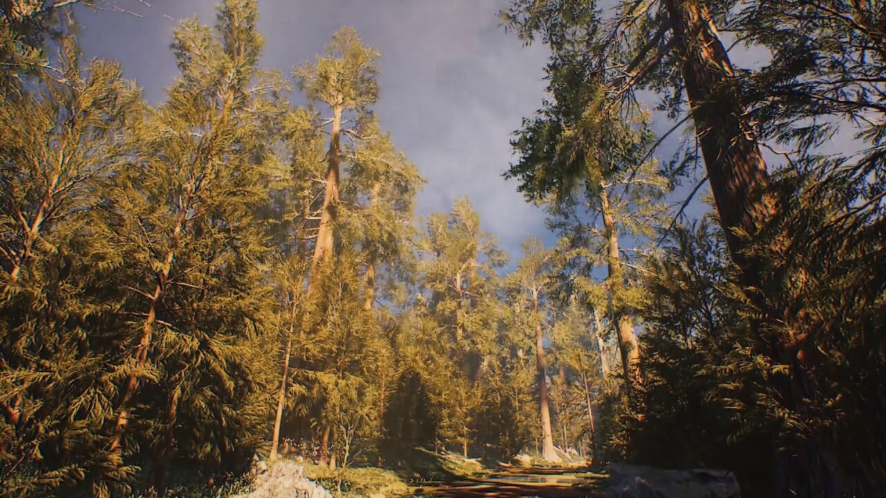 ArtStation - Forest Unreal Engine 4