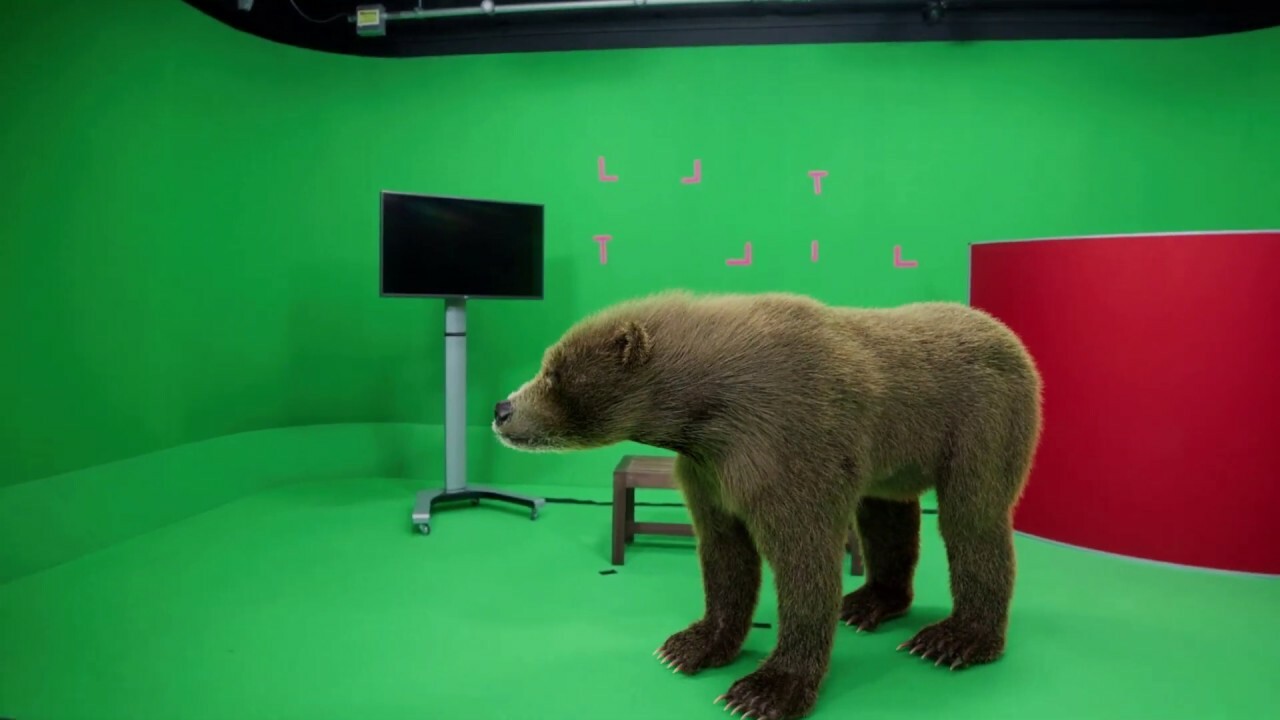 ArtStation - CG Bear Composite