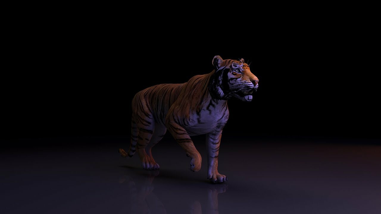 ArtStation - Tiger walk cycle