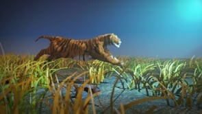ArtStation - Tiger run cycle loop