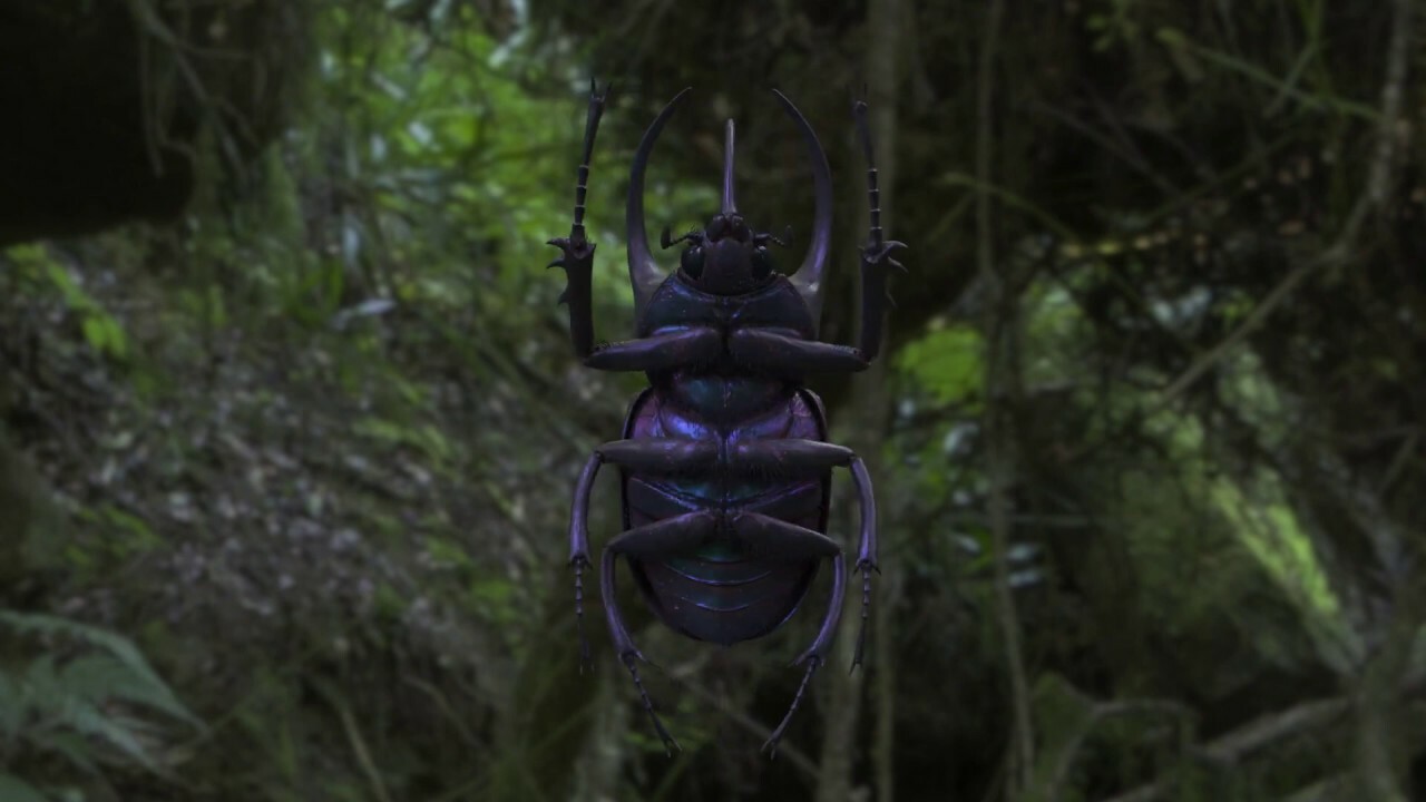 ArtStation - beetle bug