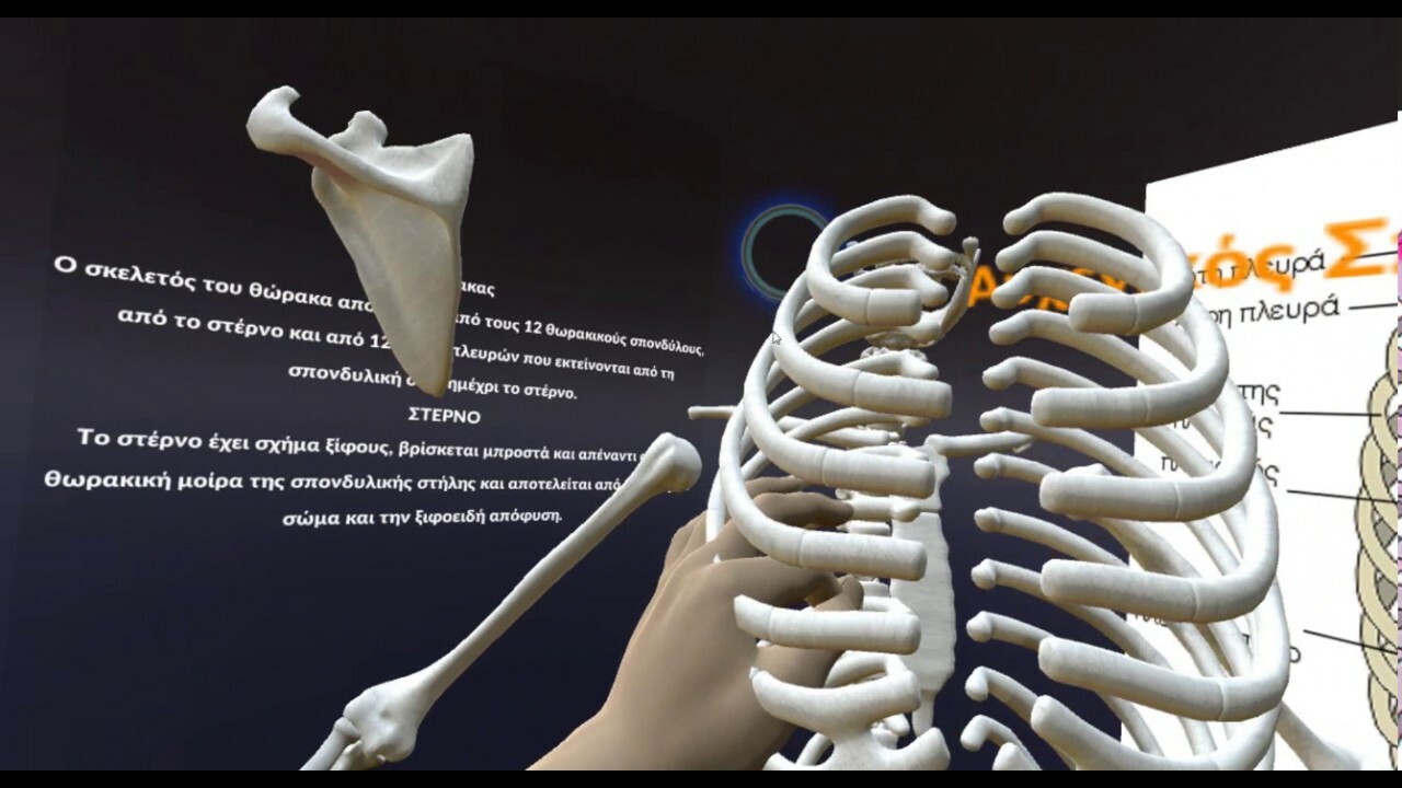 ArtStation - VR Human Anatomy using Oculus Rift and Leap Motion Hand ...