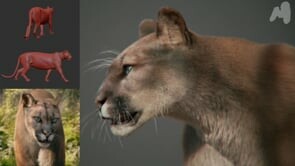 ArtStation - Puma CGI model