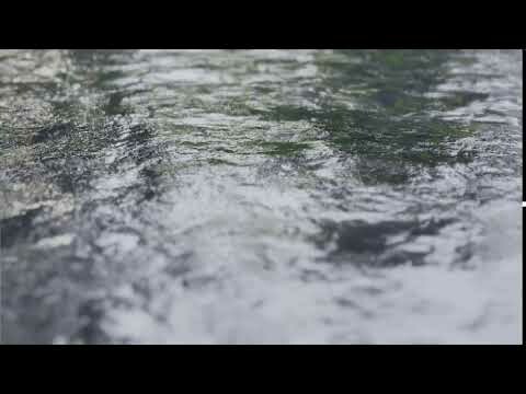 ArtStation - Procedural rain material