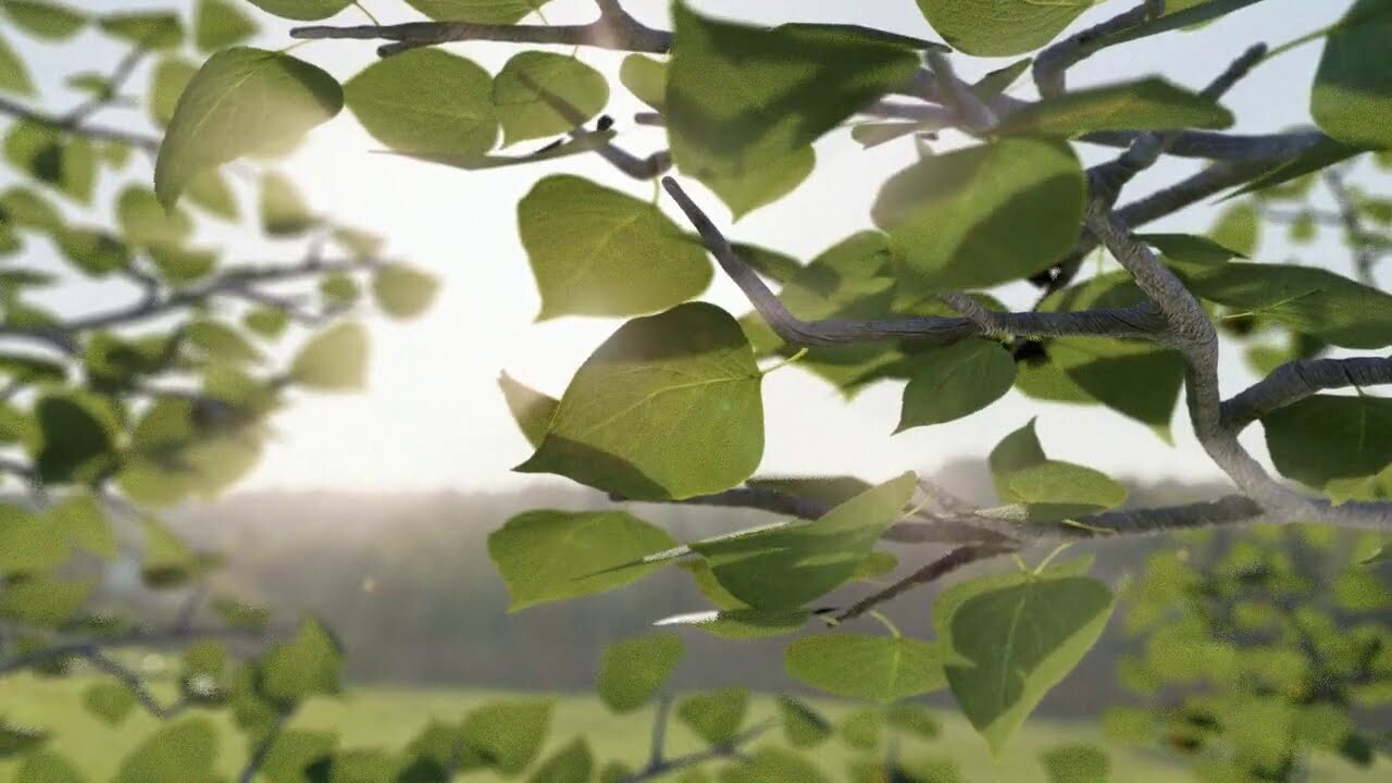 ArtStation - Tree Branches Animation