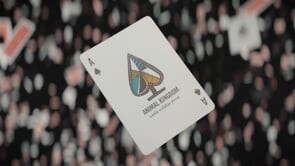 ArtStation - Animal Kingdom Playing Cards Packshot